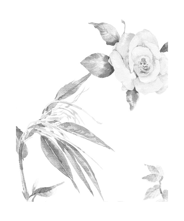 wallpaper, floral pattern, artmural, artistic wallpapers, grey, boho